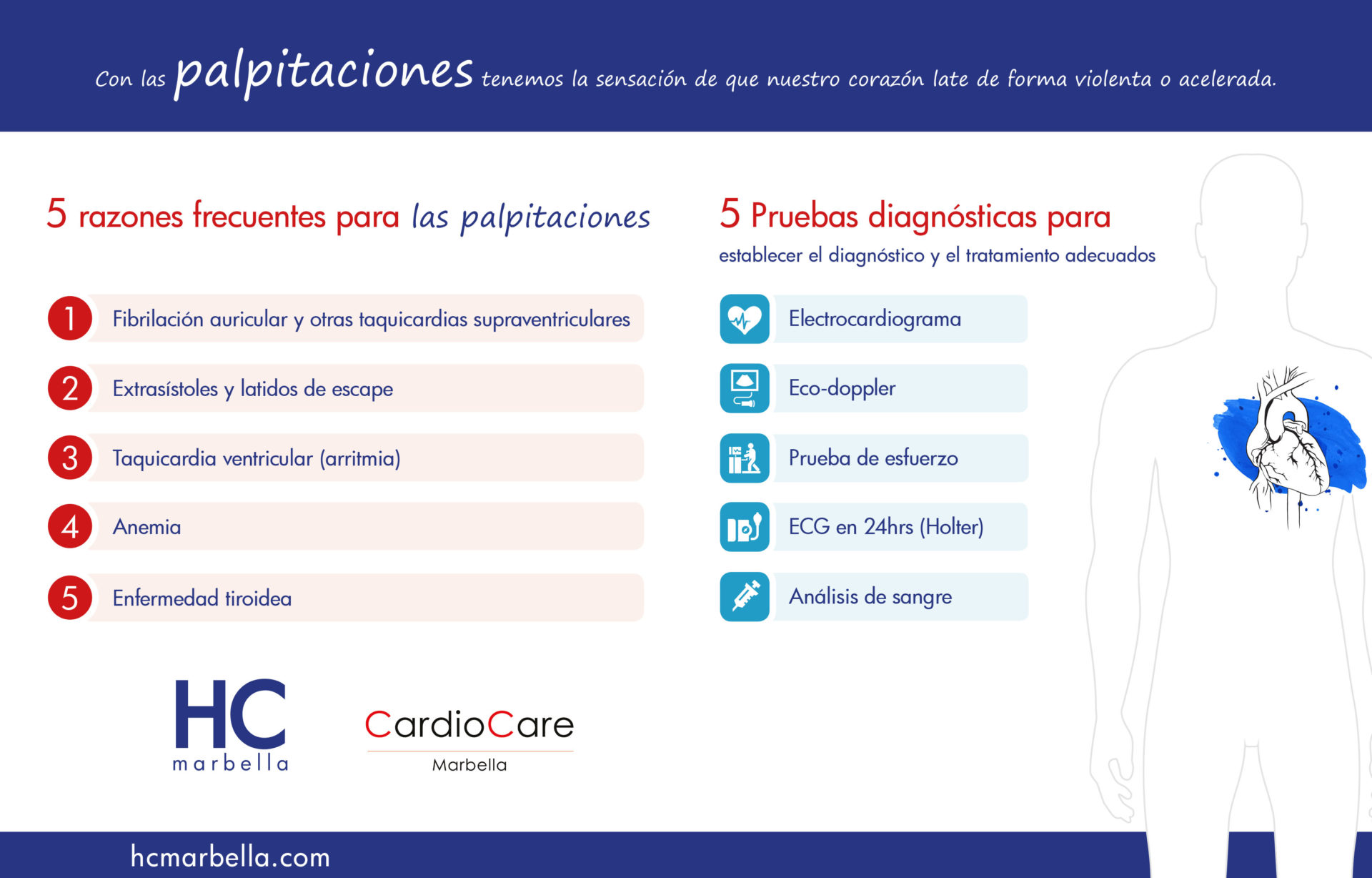 Cardiología. Las #palpitaciones cardíacas | HC Marbella International ...